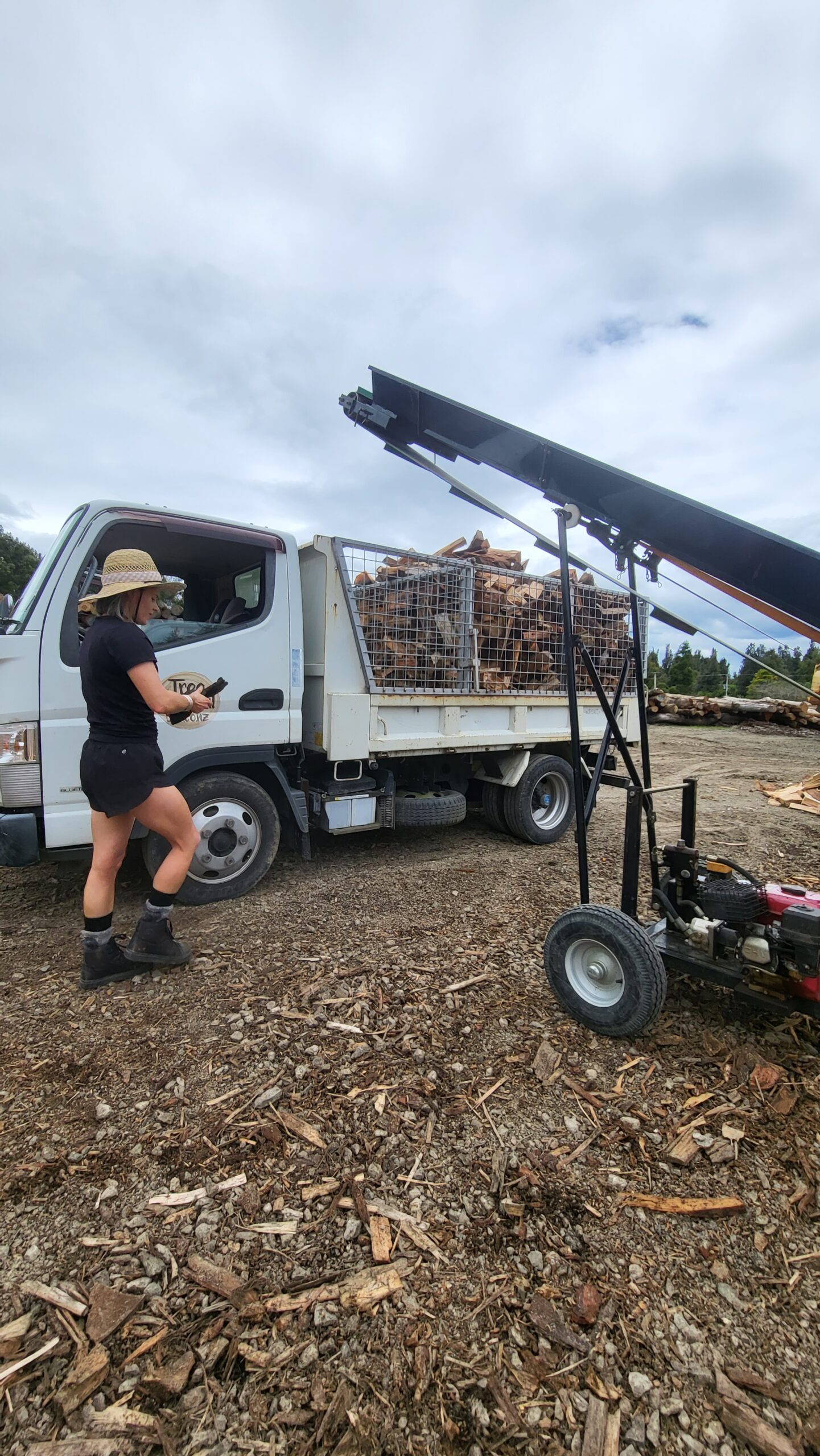 Gallery of recent tree work | Tree Removal BOP