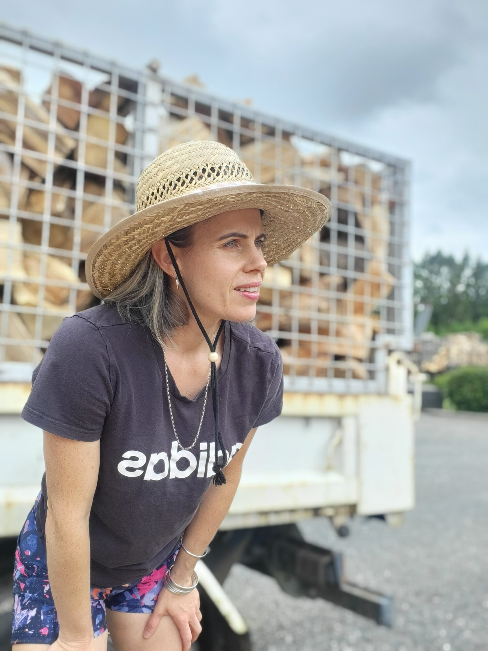 Gallery of recent tree work | Tree Removal BOP